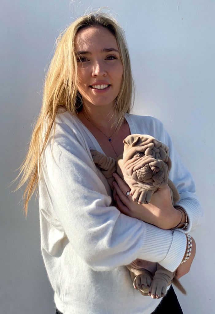 A wrinkled dog or a scrunched-up rug? This adorable Shar Pei will make ...